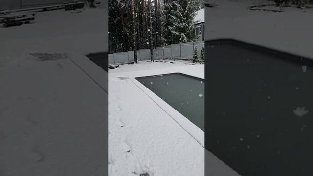 Композитный бассейн "Империал" 8 х 3,5 м в ДНП Медное Озеро 3