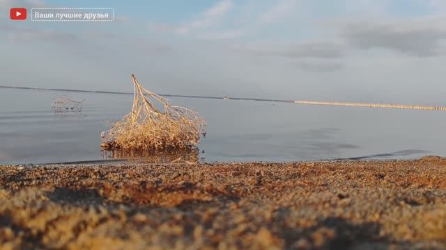 ОЧЕНЬ ПОЛЕЗНОЕ РОЗОВОЕ ОЗЕРО САСЫК-СИВАШ. ЛЕТАЛЬНЫЕ СЛУЧАИ ОТ ГРЯЗИ. ОСТОРОЖНО!