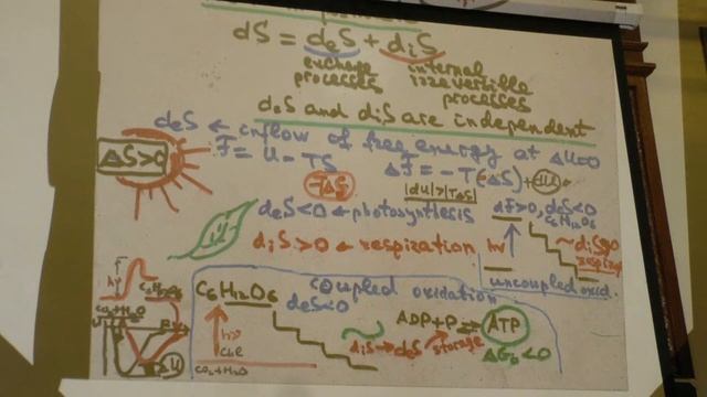 Рубин А.Б. - Биофизика. Часть 1 - 7. Химический потенциал окислительно-восстановительной реакции