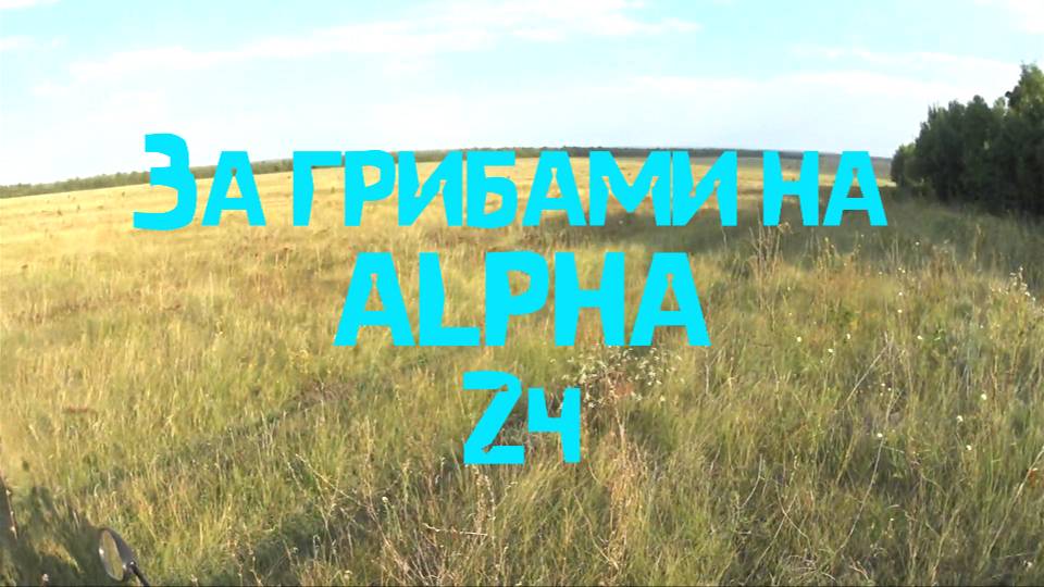 Покатушки за грибами на мопеде Alpha 2ч. продолжение