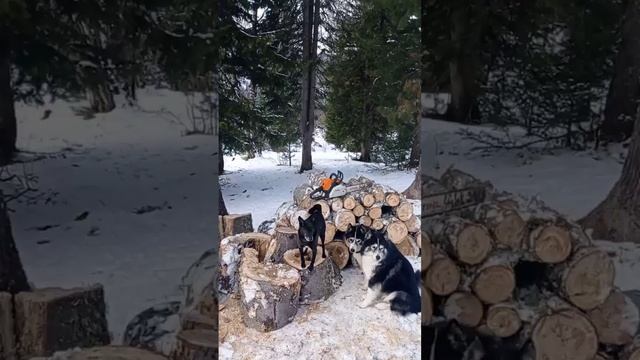 Ночной ветер на Алтае