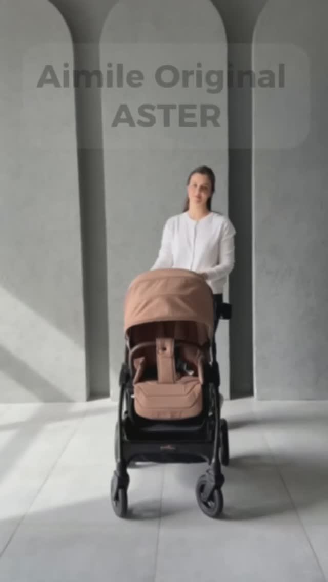 Коляска прогулочная детская Aimile Aster