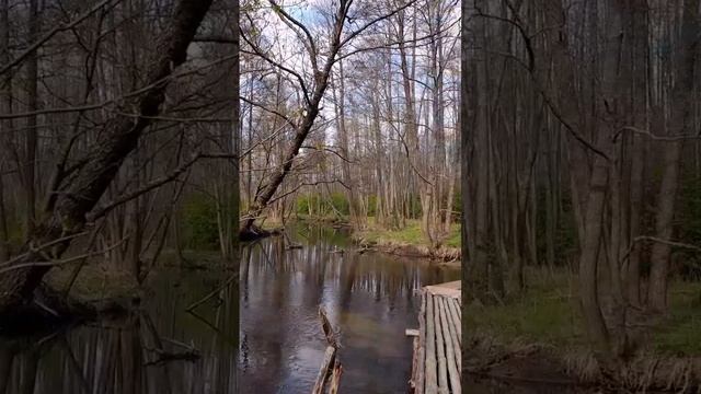 Невиданные тропы