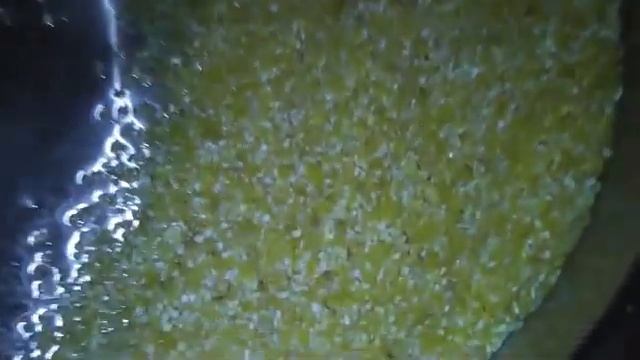 каша из кукурузы