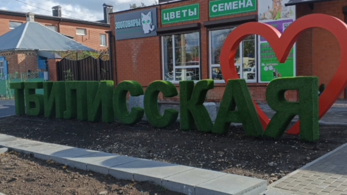 Осенние зарисовки ноября 2024года на Кубани