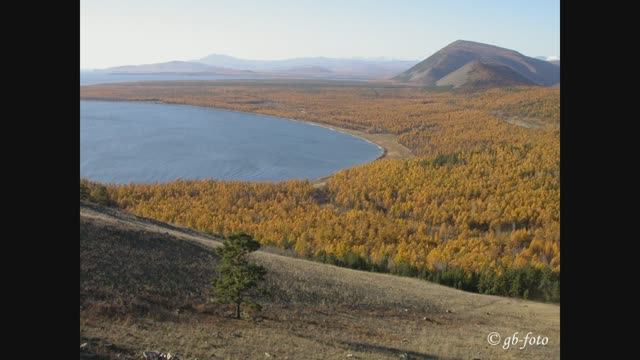 Осень золотая на Онокочанской губе Северного Байкала