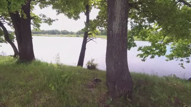 РЫБАЛКА НА КРАСИВОМ ЛЕСНОМ ОЗЕРЕ. ЗАБРОСИЛ В КОРЯЖКУ, ТАК СРАЗУ И ПОВЕЛО В СТОРОНУ