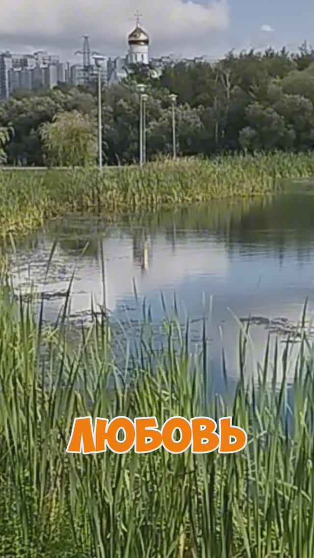 В здоровом теле, здоровый ДУХ !