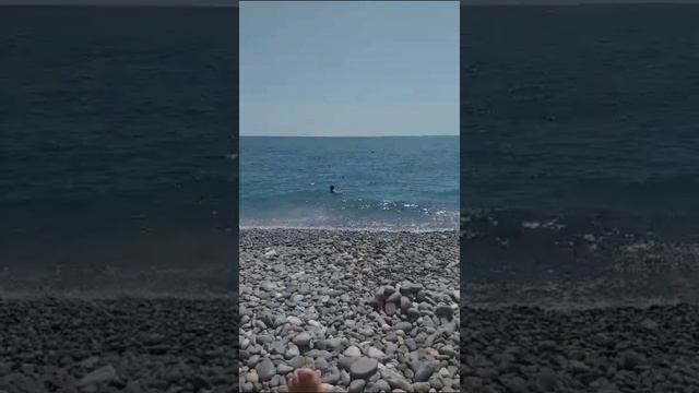 Море в Сириусе