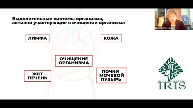 Детокс: для здоровья и красоты. Часть из записи вебинара от 22.01.22 г.