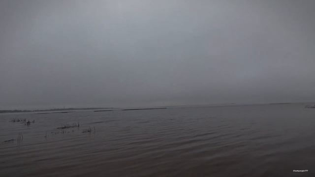 Перевернул лодку на зиму. Обстановка на реке Волхов 11.11.24г. #река #волхов #новости