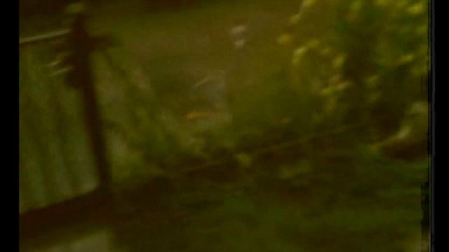 2010 Июль Мама я