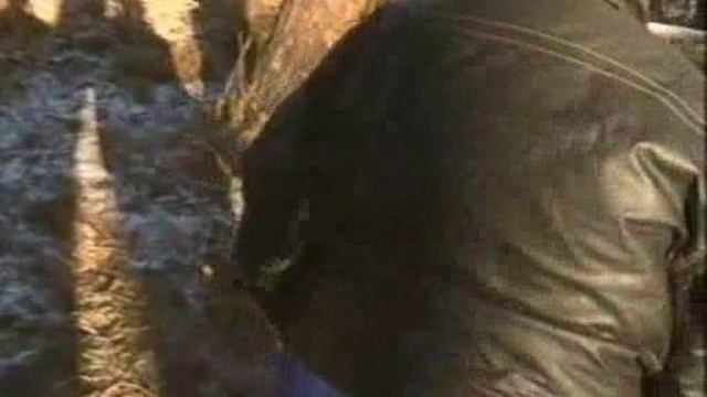 2009 Январь Мама я