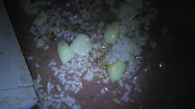 вот и поел суп