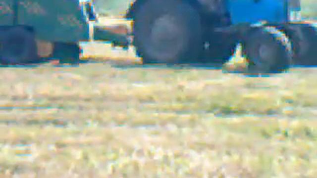 Сено Алтая.