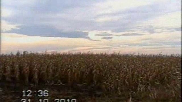 2010 Октябрь Мама я