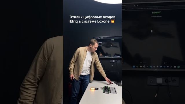Efriq + Loxone. Скорость работы цифровых входов