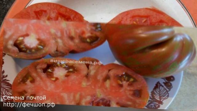 Высокорослые сорта помидоров