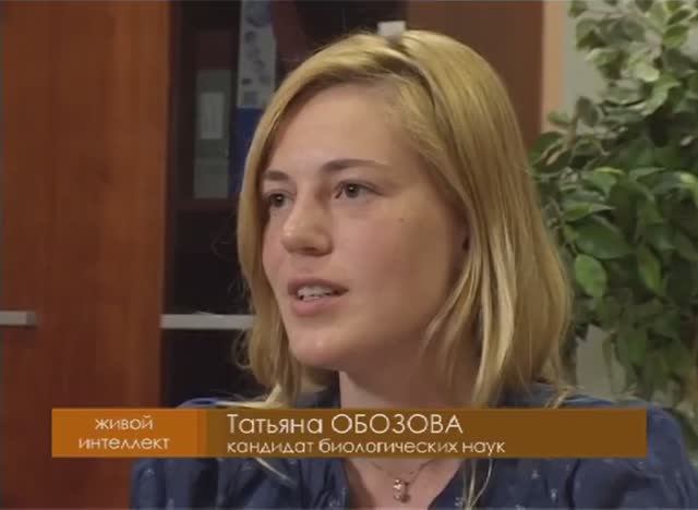 " живой интеллект "  /видео для внутреннего пользования, публичное размещение запрещено/