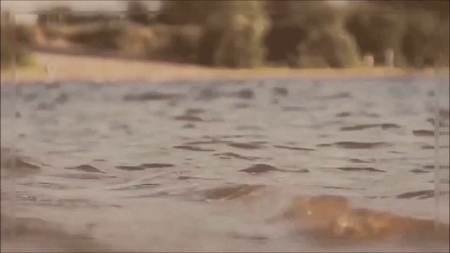 Я буду любить тебя  Сергей Войтенко