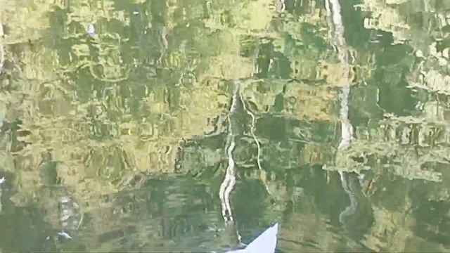 Наша Белка и Лебеди, ждут нас завтра на Воскресной Прогулке!