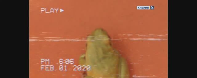 УЕХАЛИ ИЗ ГОРОДА... в КАЛУЖСКУЮ