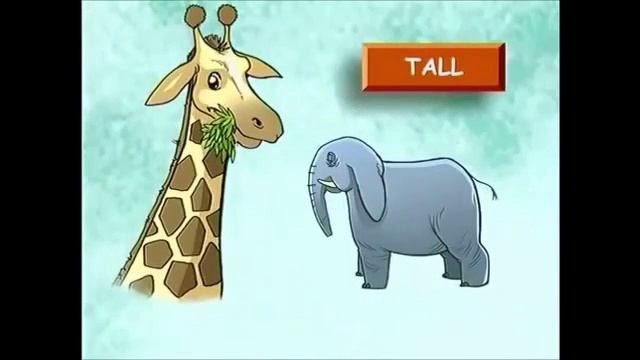 Unit 8a Ex 3 Spotlight 4