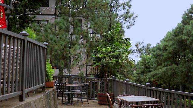 12246555_1920_1080_30fps