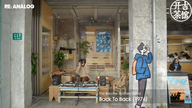 Subtle Interplay of Rhythm and Emotion - Cozy Vinyl Mix by mingsquall