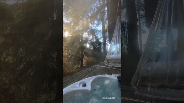 Прекрасное утро.  #прекрасное