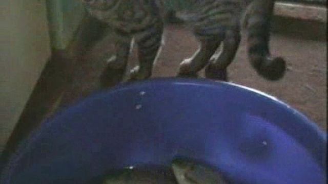 2009 Август Мама я