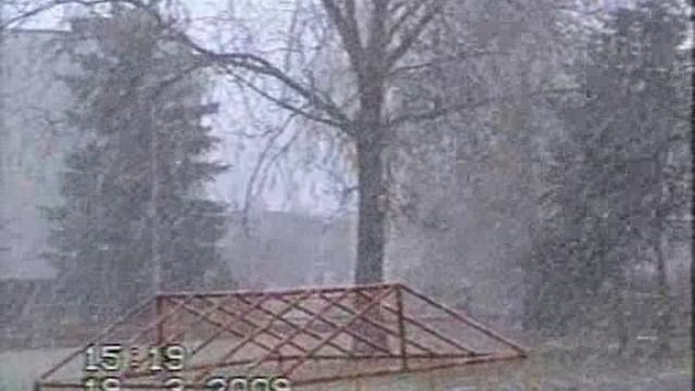 2009 Март Мама я