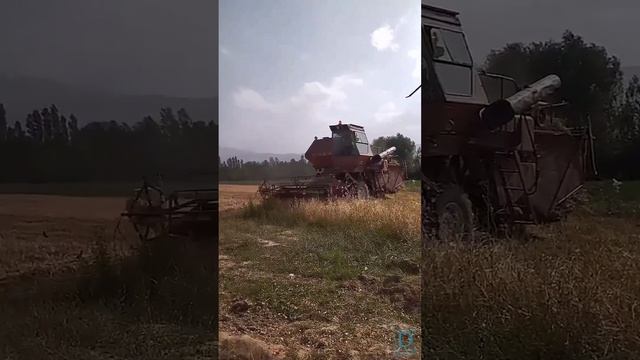 Комбайн Нива