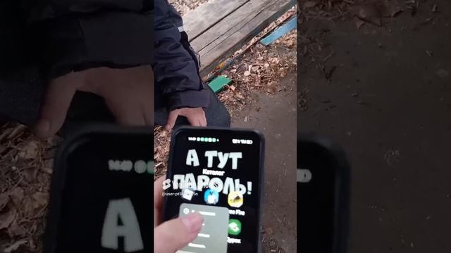 17 ноября 2024 г.