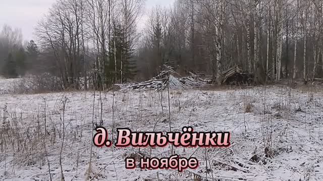 Деревня Вильчёнки в ноябре.mp4
