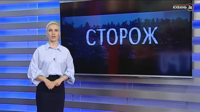 Что посмотреть?!