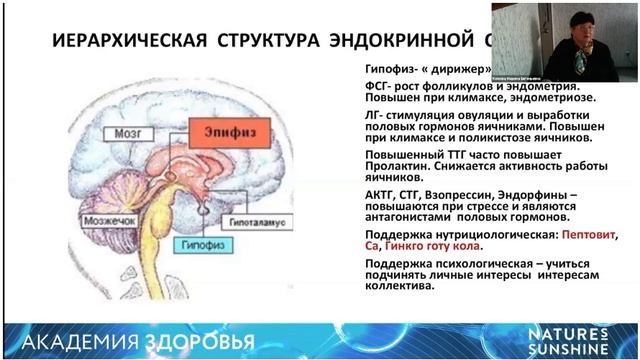 Игра гормонов в разные периоды жизни женщины. Комова М.Е., акушер-гинеколог.