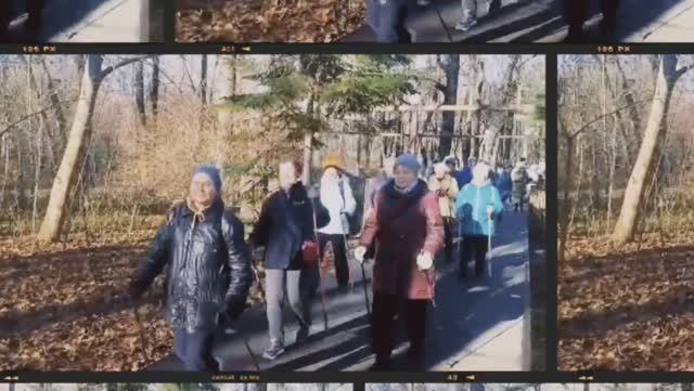 Приглашаем на ПРОГУЛКУ!