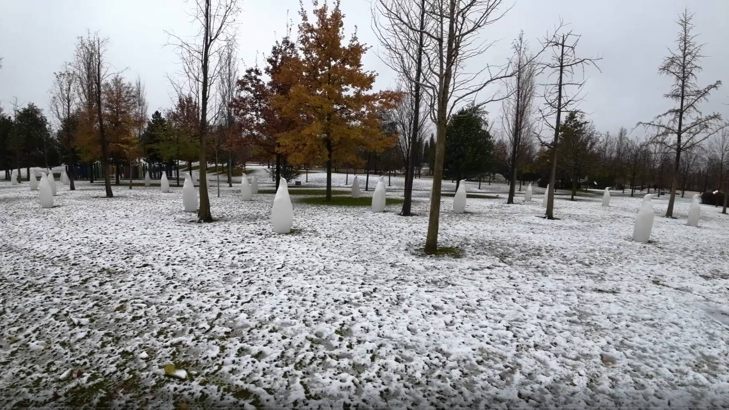 Пробежка в Японском саду зимой.