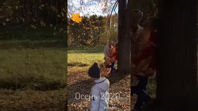 15 октября 2020 г.