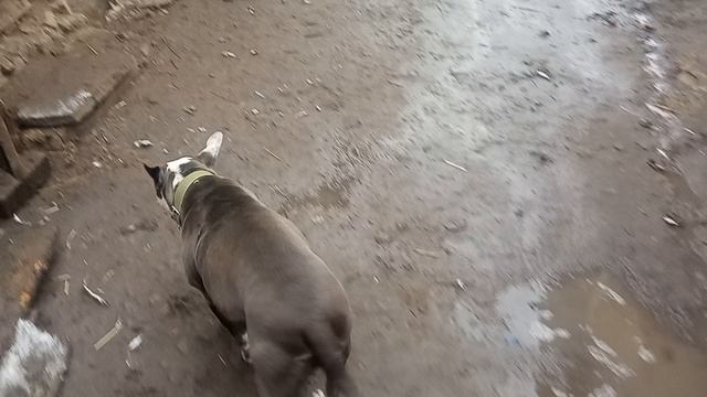 стафф проснулся холодно