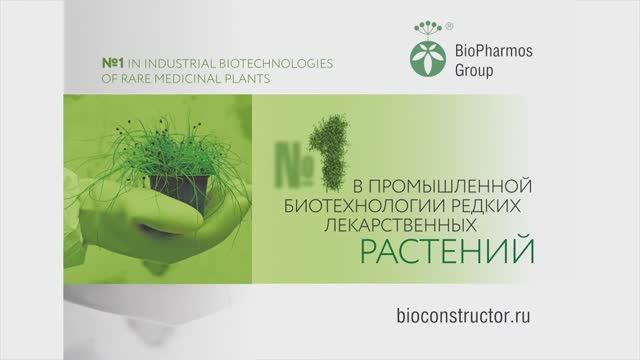О биотехнологическом выращивании лекарственных растений в BioPharmos Group