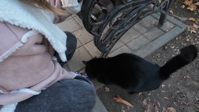 мы её встретили/в этот раз получилось/Пятигорск санаторий Горячий ключ 9.11.2024