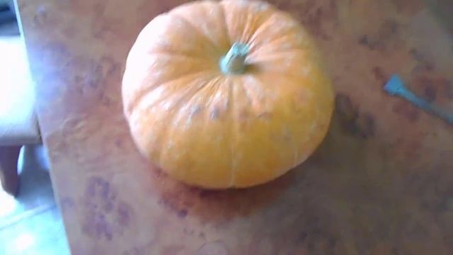 Ранняя тыква Конфетка