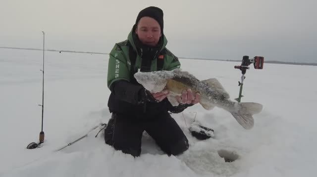 РАЗБУРИЛИ КОРЯЖНИК - КЛЕВАЛИ СУДАКА. ПОИСК ХИЩНИКА ПОДВОДНОЙ КАМЕРОЙ