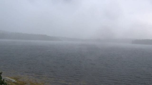 Я Вас люблю, мои дожди...