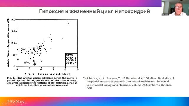 Роль митохондрий в СХУ - МЭ