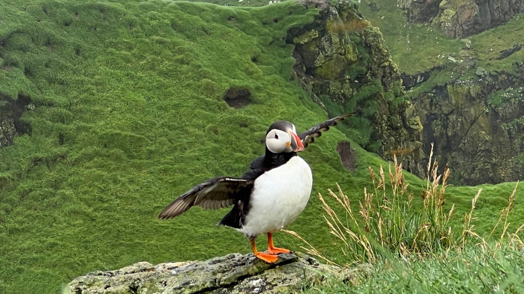 Фарерские острова, день 3, август 2024