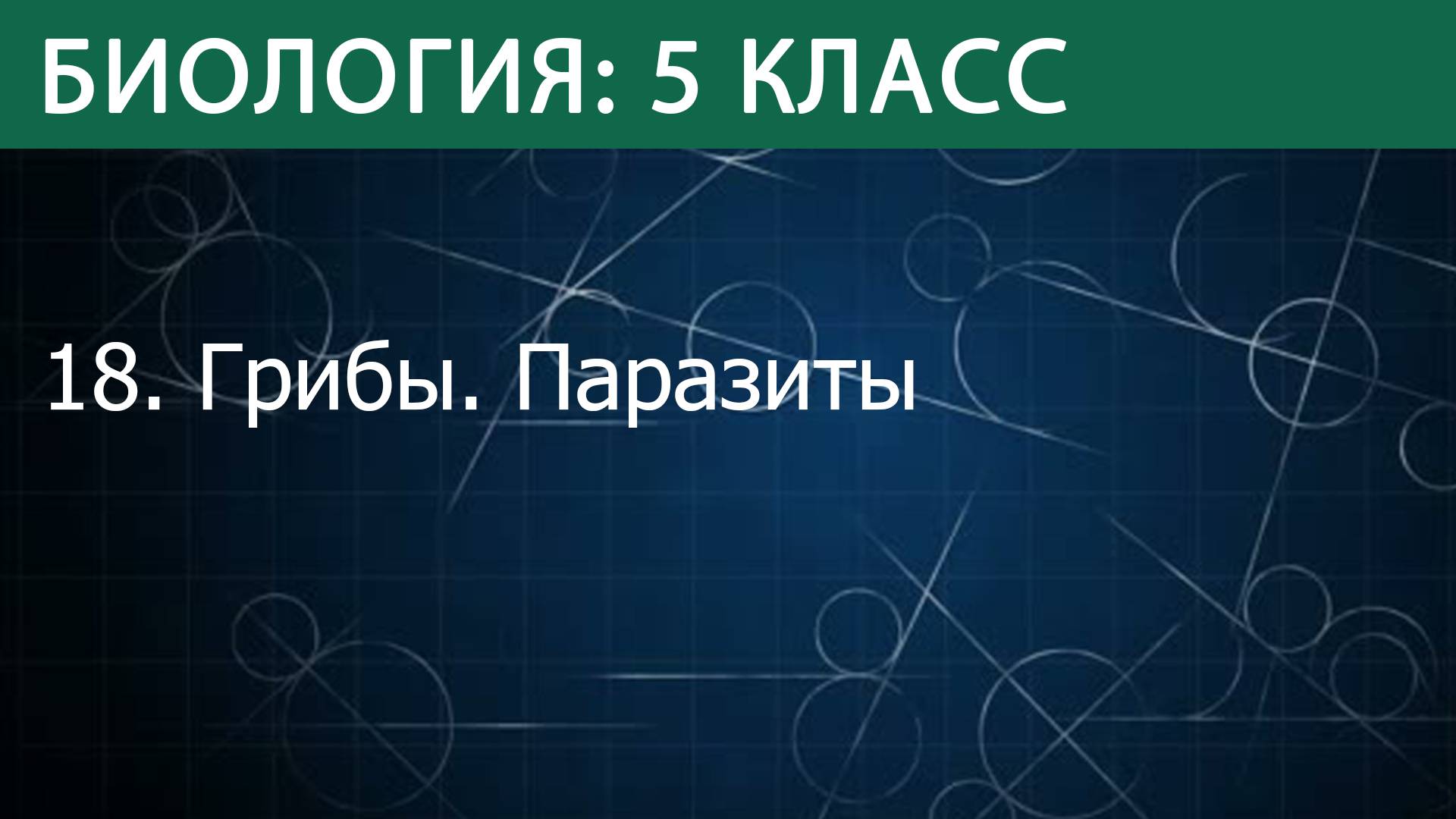 Биология 5 класс: Грибы. Паразиты