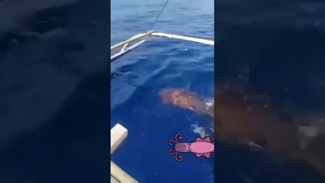 Рыбалка бывает всякая.mp4